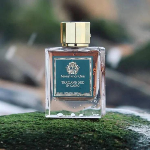 Discover the Top 5 Perfume Categories That Define Fragrance Styles ...
