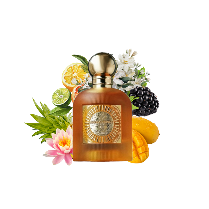Buy Mango Punch Emir 100ml unisex EDP - Aromaconcepts – Aroma Concepts UK
